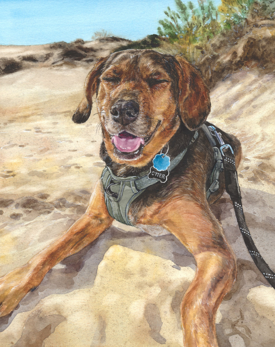 Shipping upgrade – Jamie Clark Art